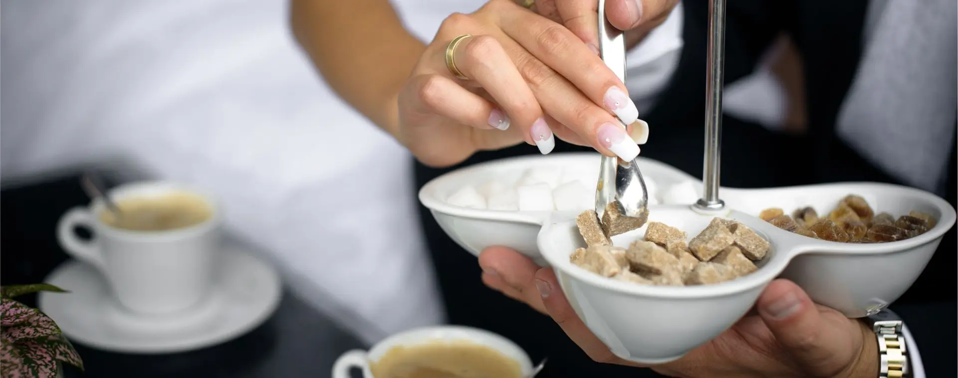 The Art of Serving Sugar: Small Details That Speak Sophistication ...